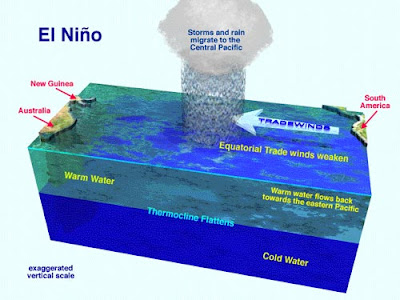 Insights and Reflections: Insights and Reflections # 4:EL NINO AND LA NINA