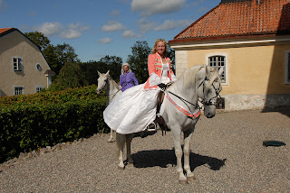 Bländare 4: Tureholms slott -Trosa.