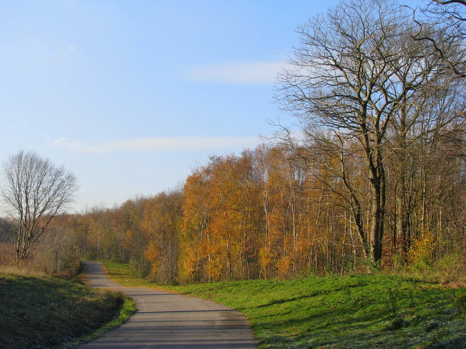 East Malling, Ditton and Barming: November 2010