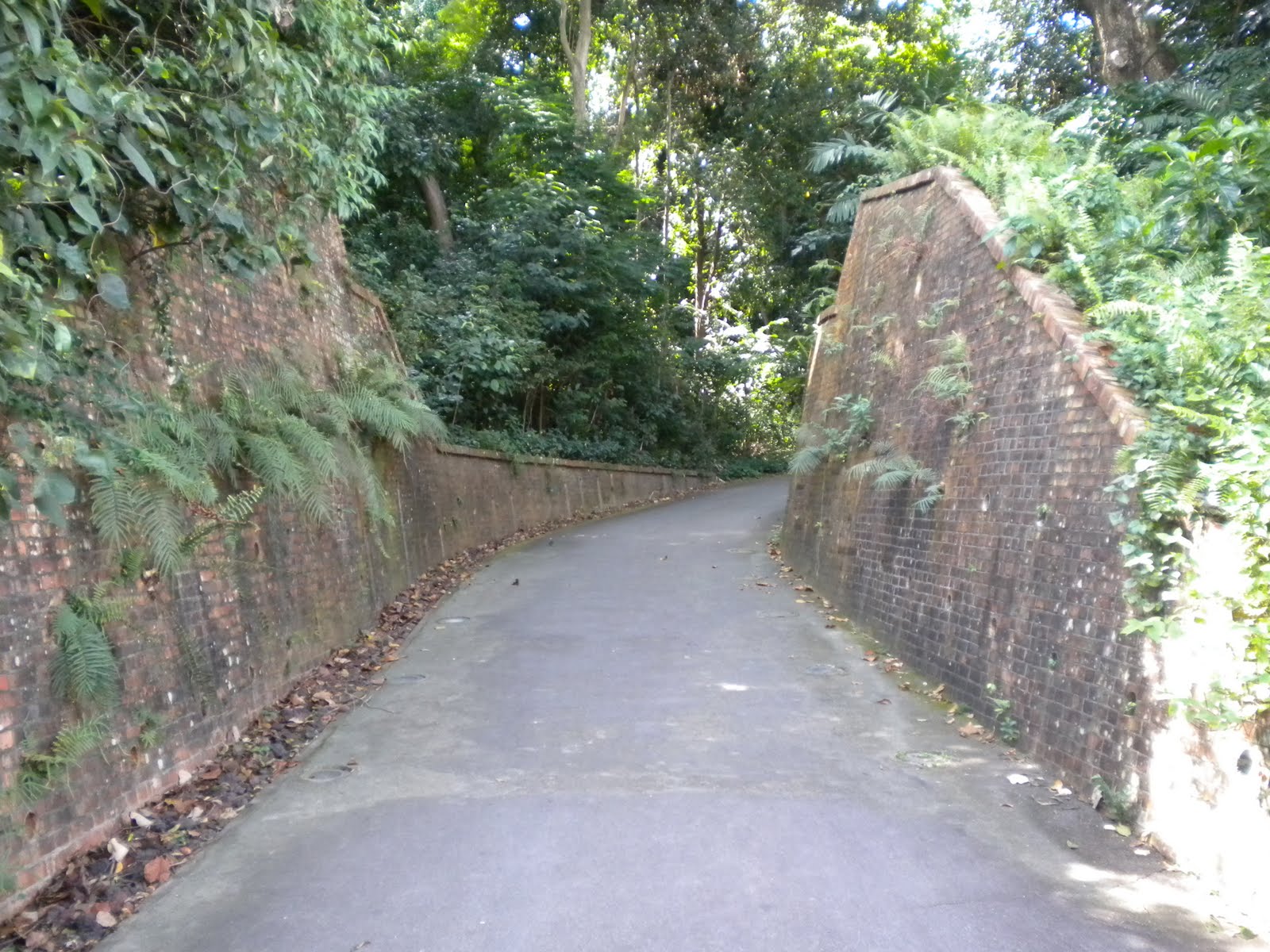 Casting About Singapore: Labrador Nature Reserve