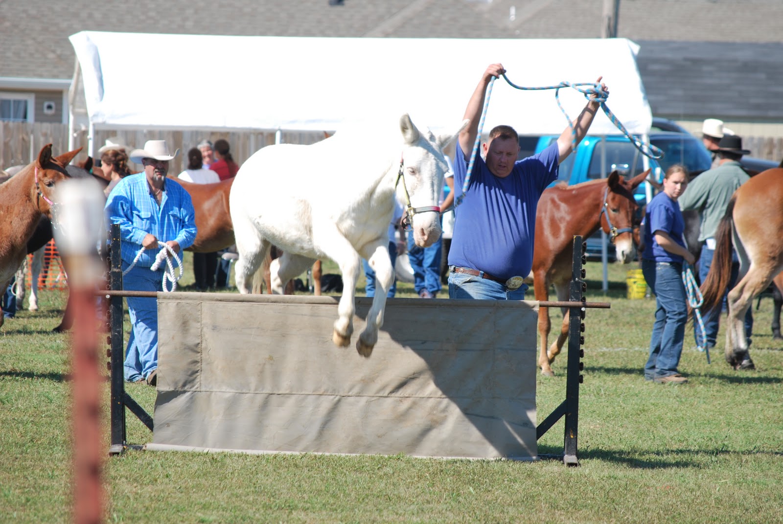 Keeping up with the "K"lubines: Mule Jump And A Little Bit Of This And That