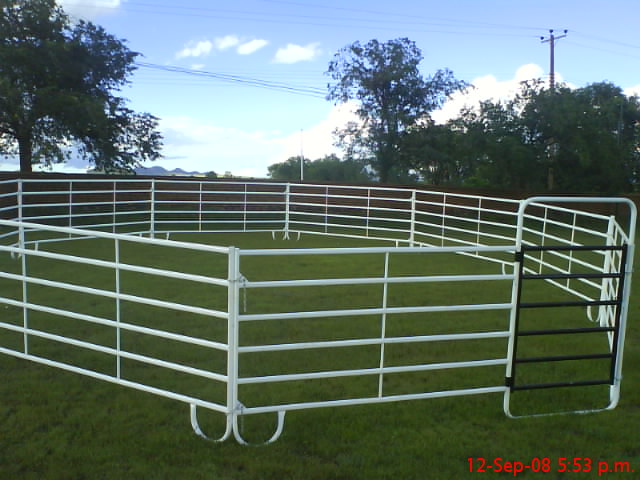 basculas y trampas ganaderas del noroeste: CORRAL PARA CABALLO