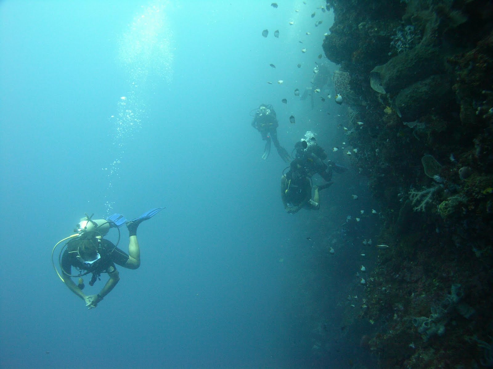 CURSO DE SUBMARINISMO OPEN WATER DIVER | Escuela de Submarinismo Alcorcón