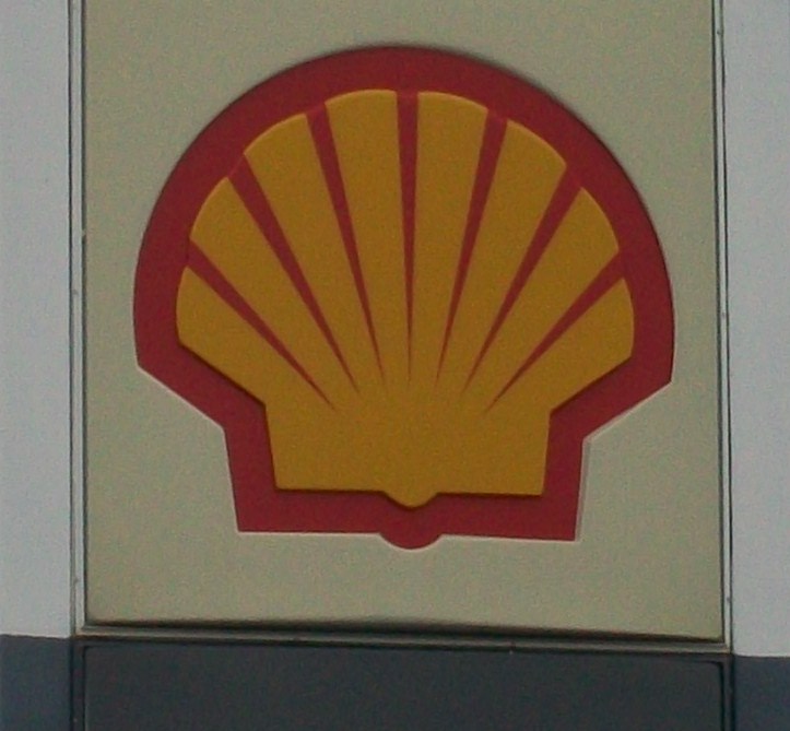 Brothers on the Camino: Shell & Santiago de Compostela