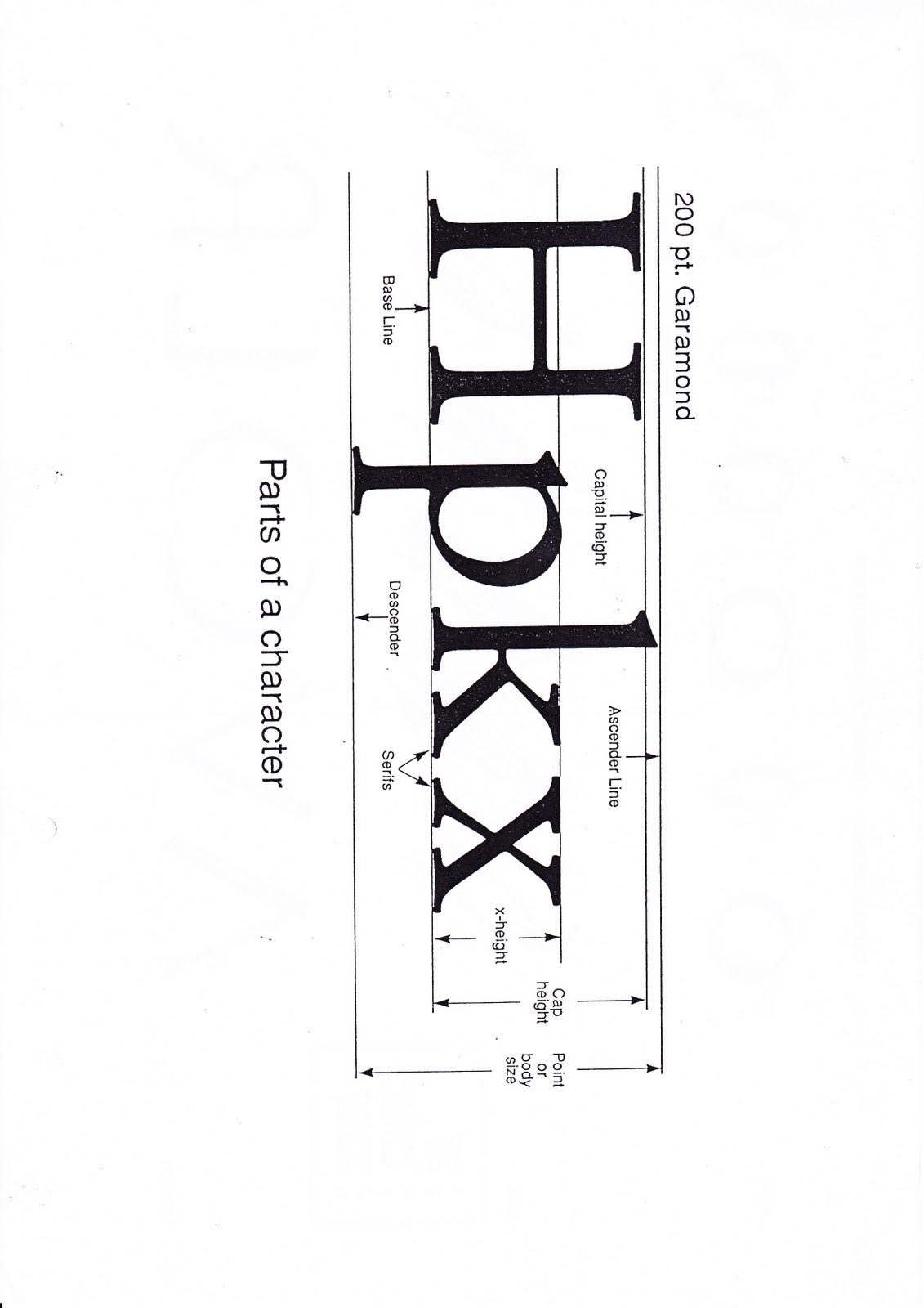 IMAGE&TEXT