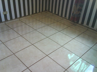 GEOVANNI: INSTALACION DE VITROPISO