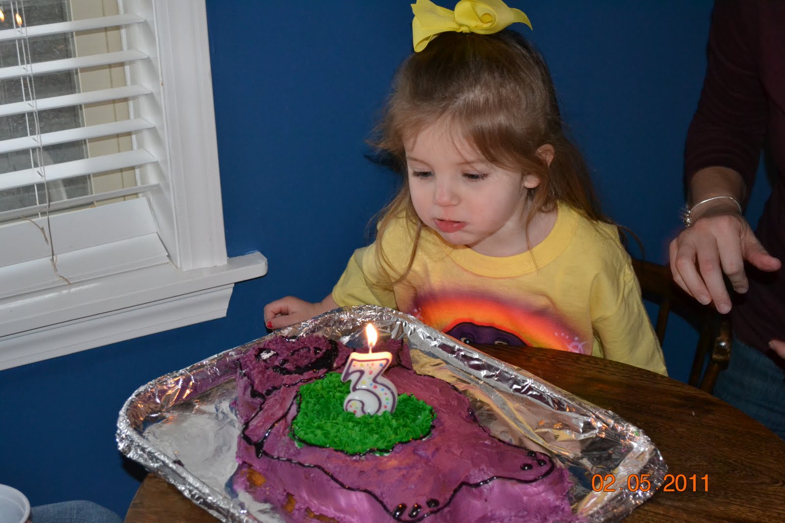 Hannah Jo: Hannah Jo's 3rd Birthday Barney Bash!