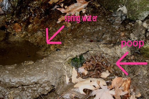 The Öko Box: Poop In The Water: A Gravity Fed Spring