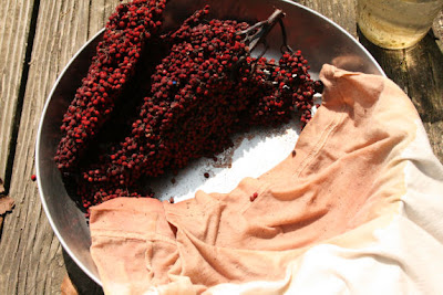 The Öko Box: Natural Plant Dye: Non Poisonous Sumac