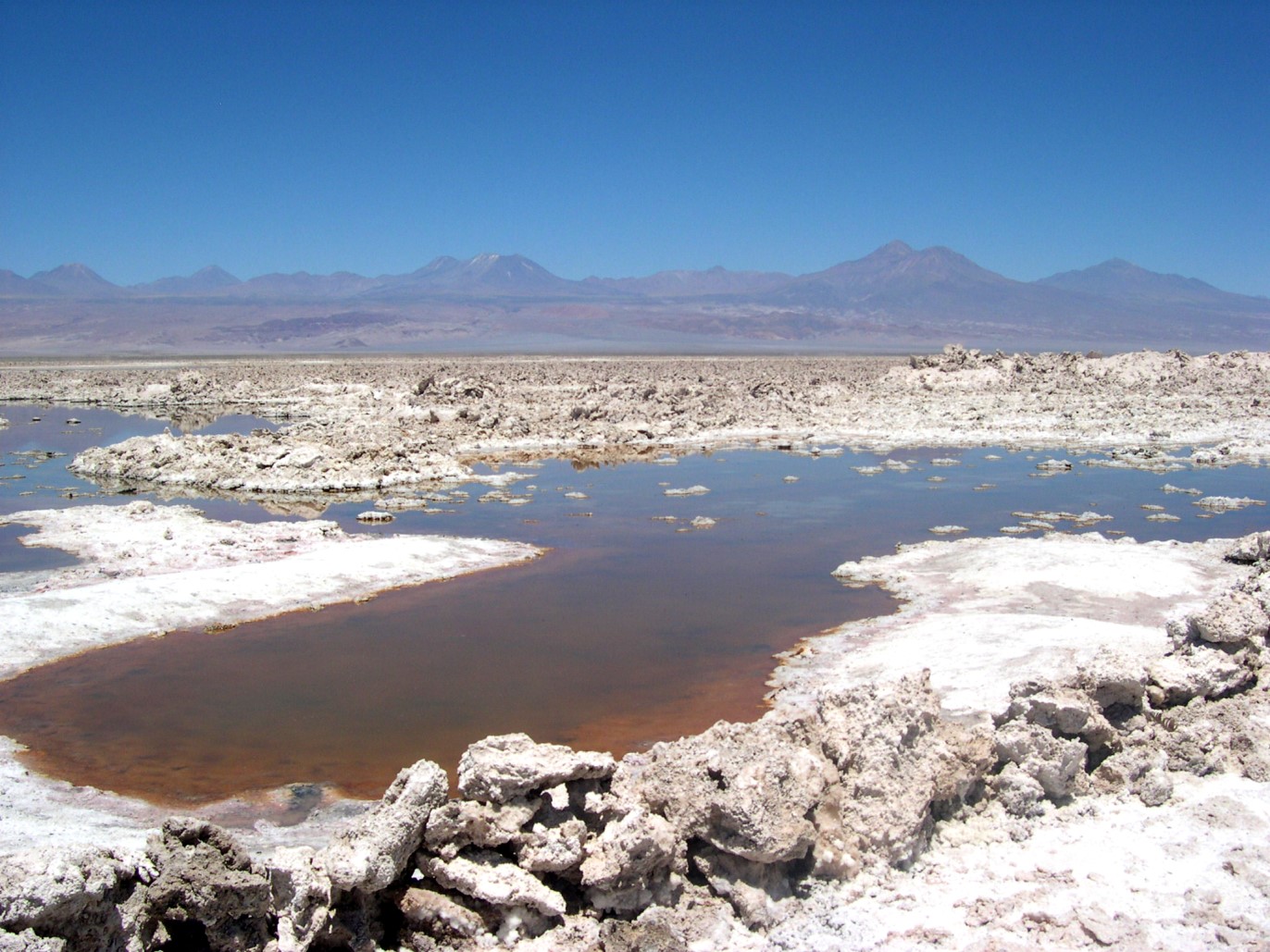 Chile Sorprendente : Laguna Chaxa