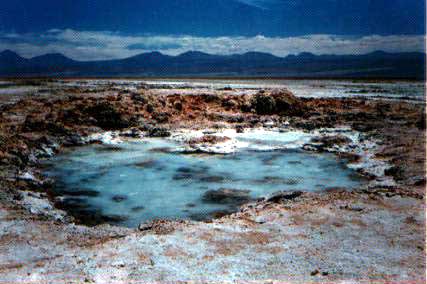 Chile Sorprendente : Laguna Chaxa