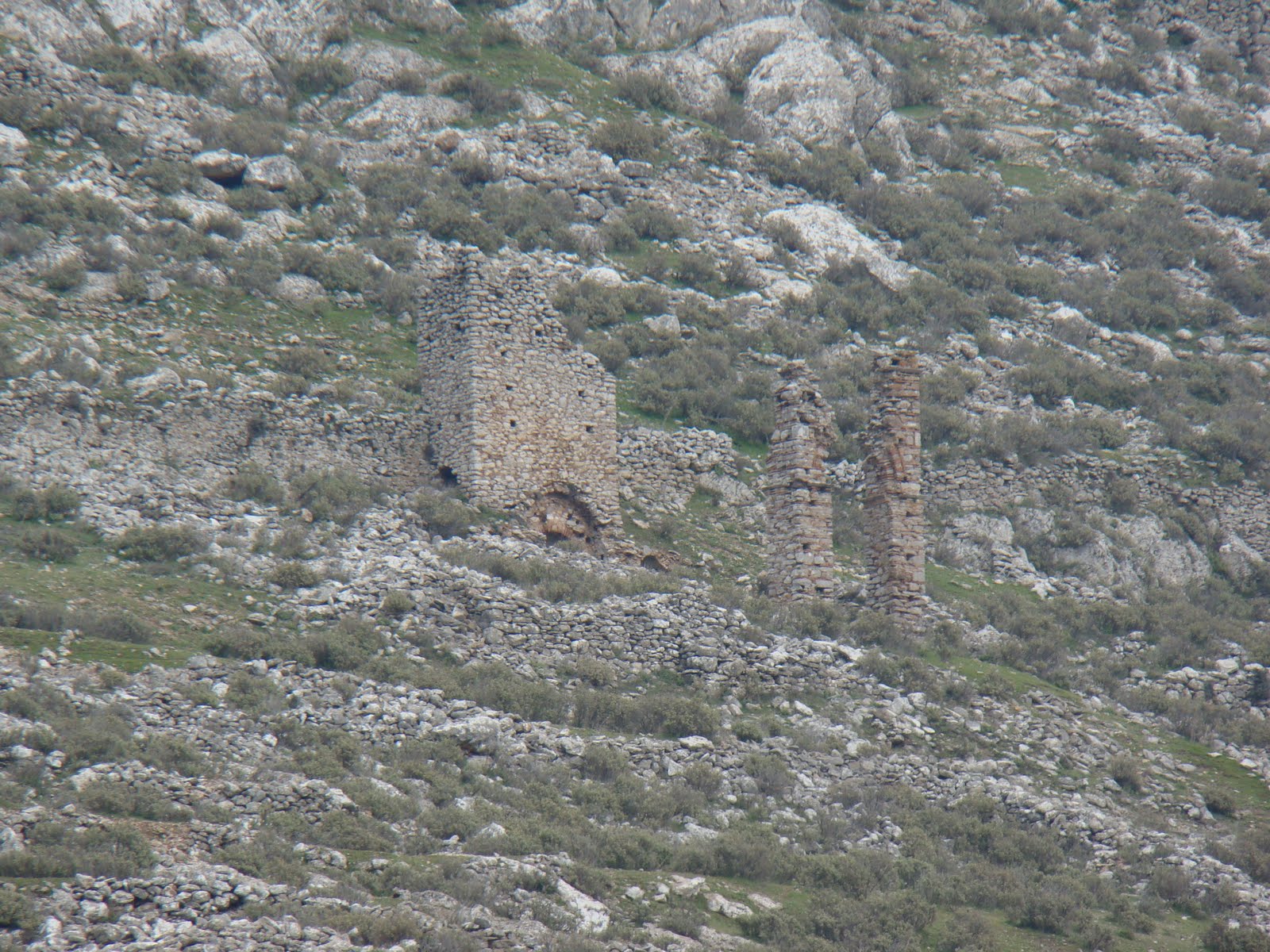 Surprised by Time: May 2010