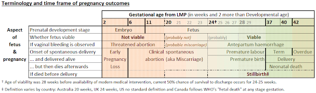 Bright Nepenthe: Stem Cells, Part 1
