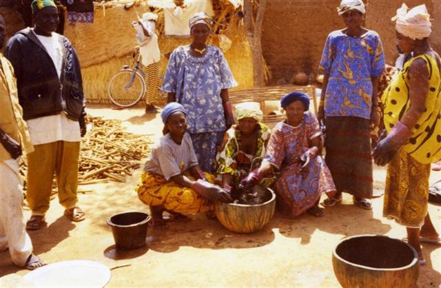 Burkina Faso Peace Corps Journal