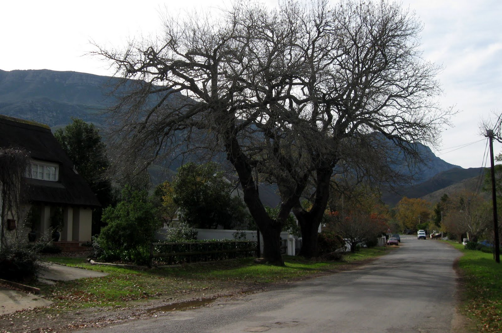 A Greyton Country House: Greyton Village