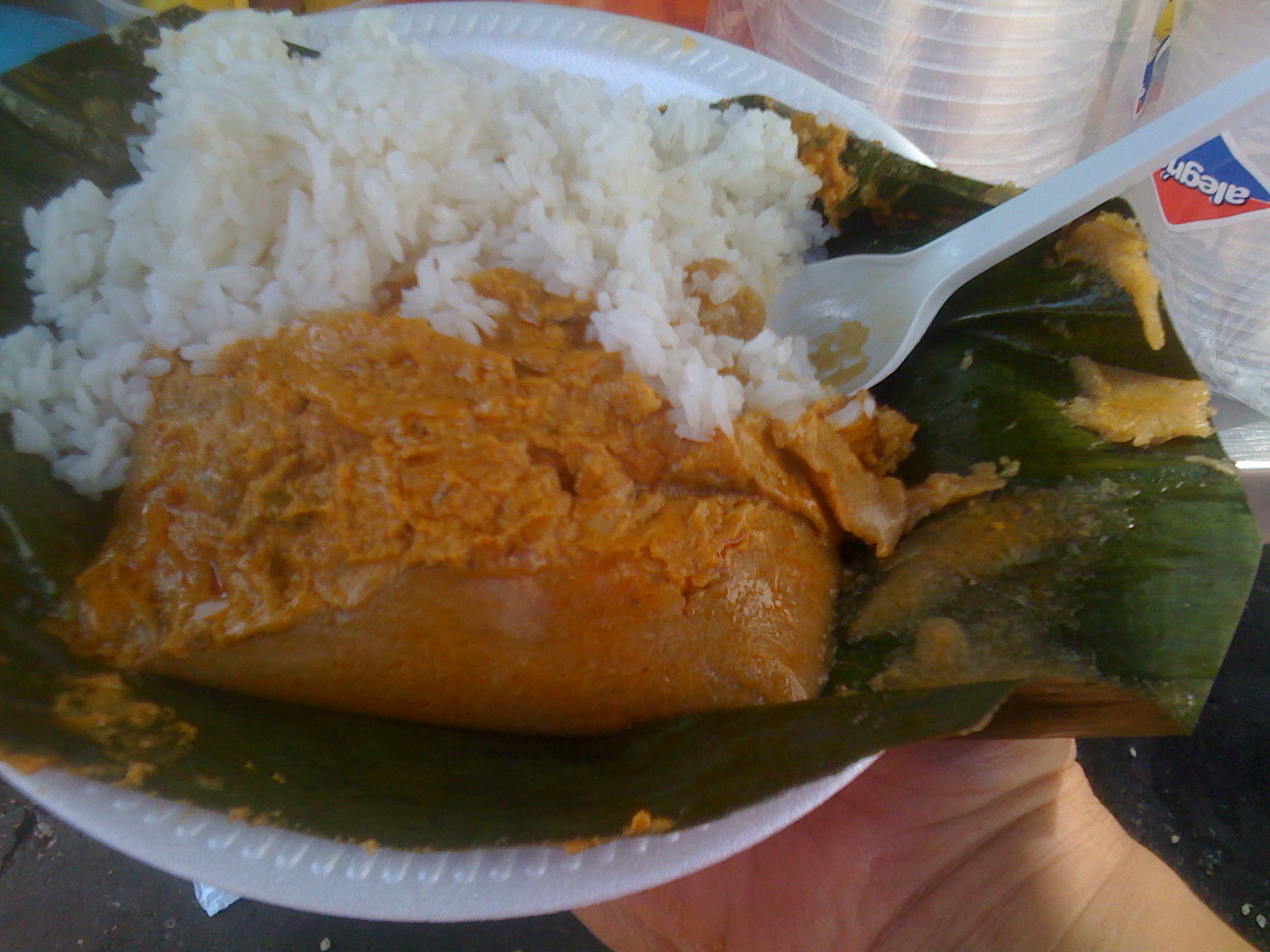 Jama Guayaca: Bollo de pescado con arroz