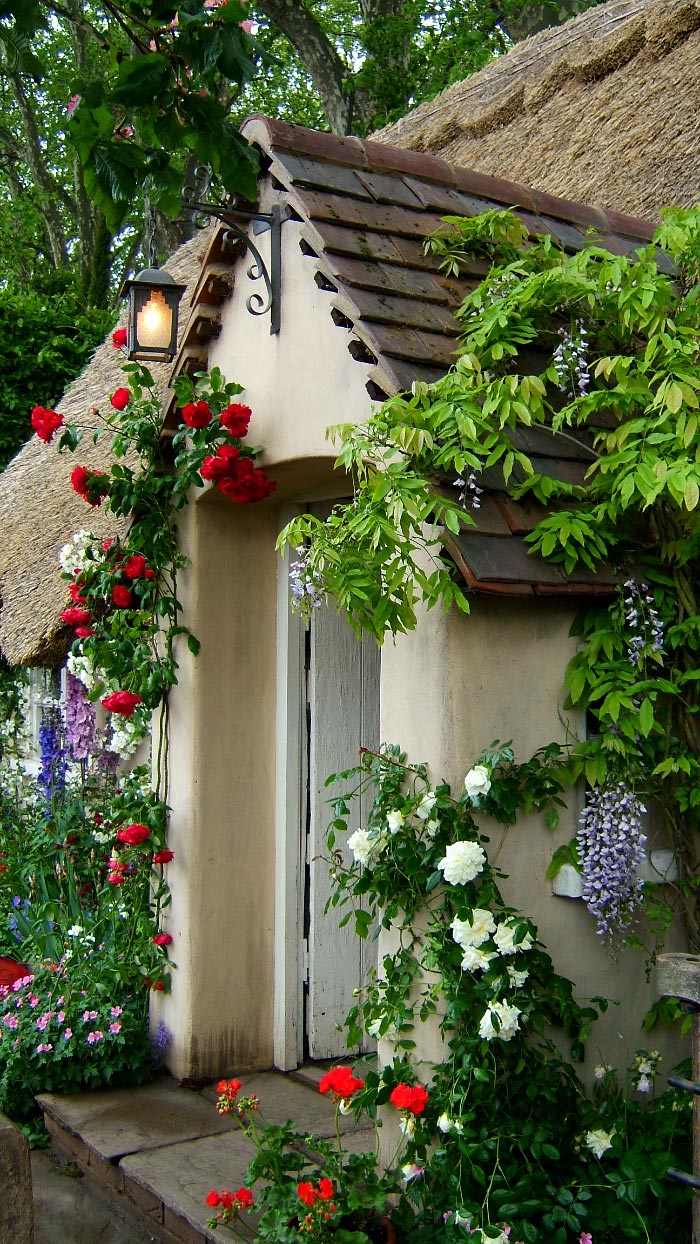 Fine Design: Coming Up Roses: English Cottage Style