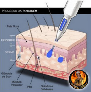 Mônica Alencar *.*.*: O processo de como se faz a tatuagem