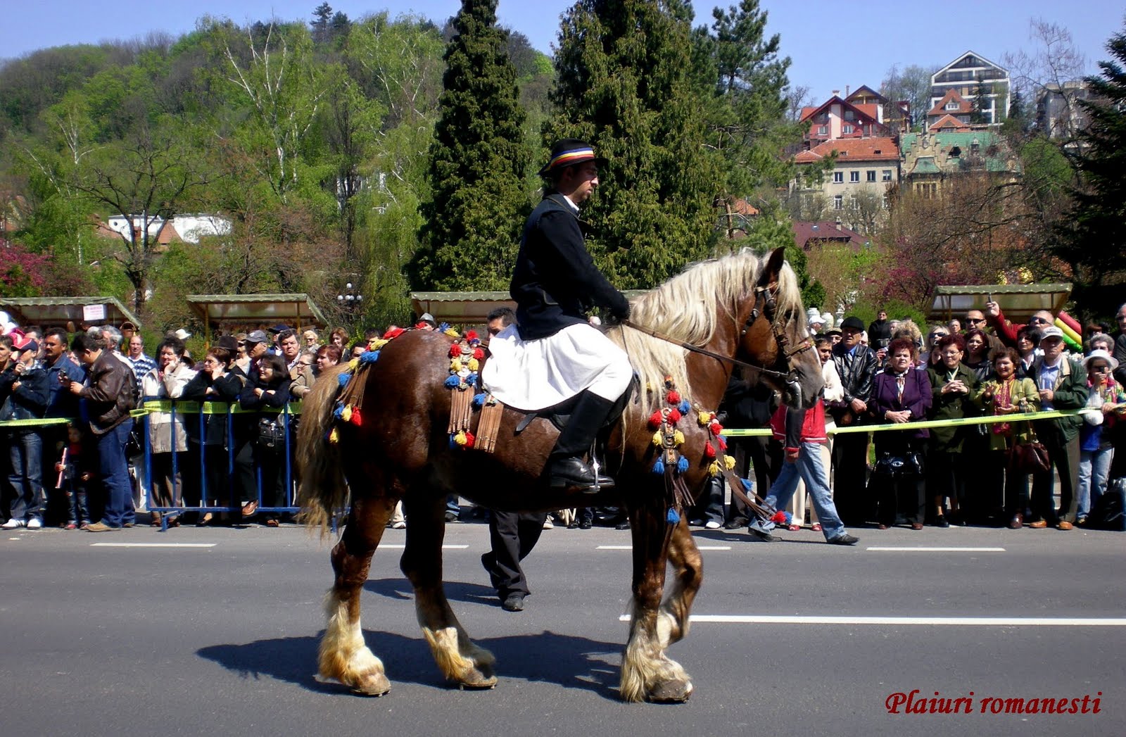 Plaiuri romanesti: Junii Brasovului