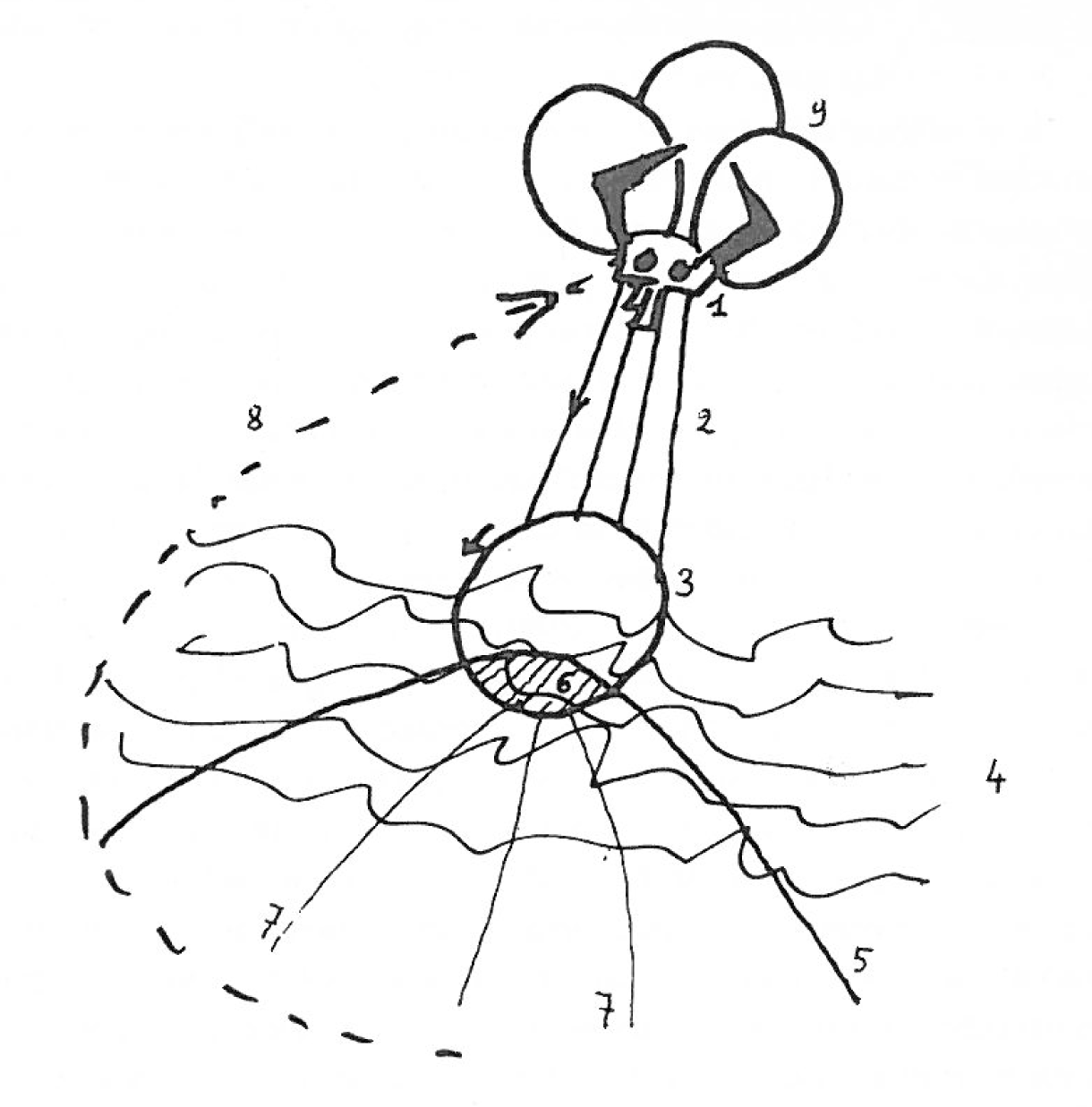 Arginati: El plano de la inmanencia