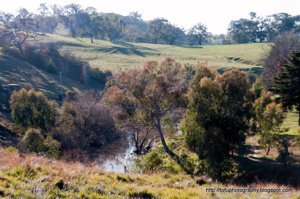 Tofu Photography: Yass River