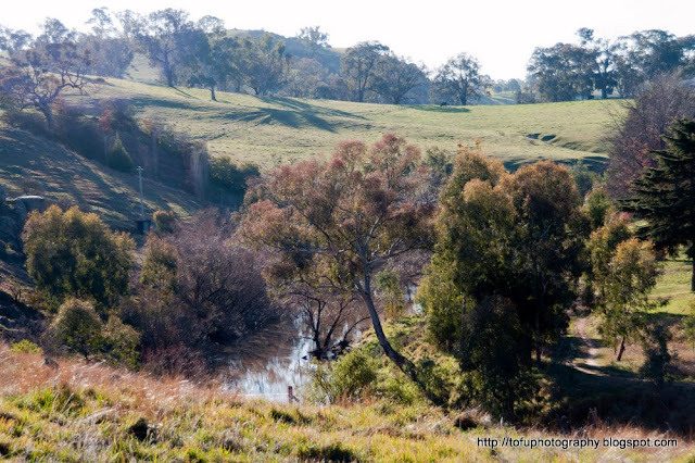 Tofu Photography: Yass River
