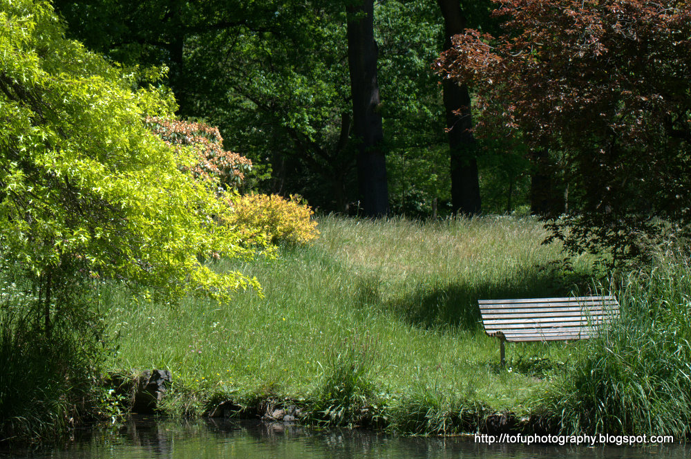 Tofu Photography: Park benches