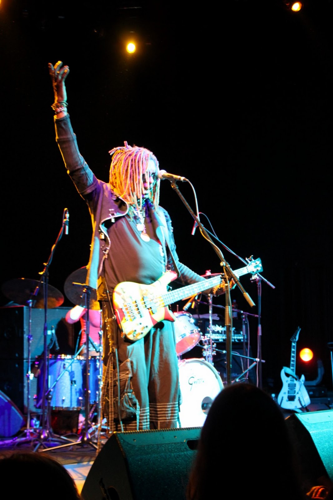 Fotoblog by Jurij Frleta: T.M. Stevens live in concert with his band ...