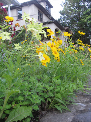 Idée Fixe: Crappy-opsis and Garden Joy