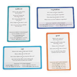 Trendy Taylor: Touch N' Feel Flash Cards