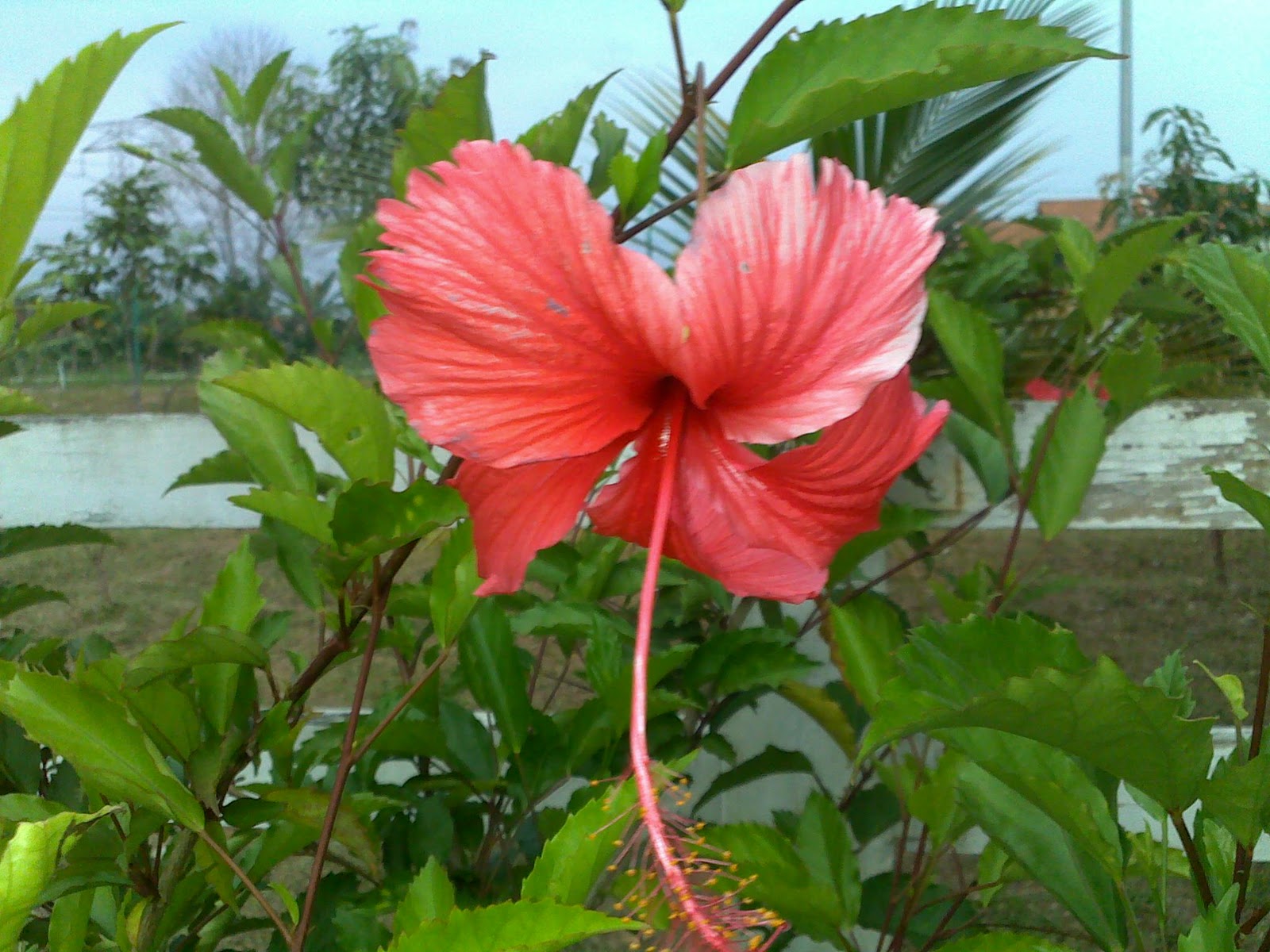 Hasbul; ..move forward..life is a short journey ...: Our residential ...