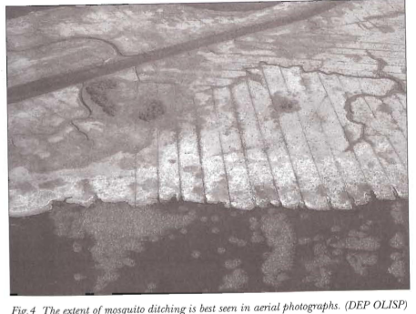 SearchReSearch: Answer: What are those lines in the bay?