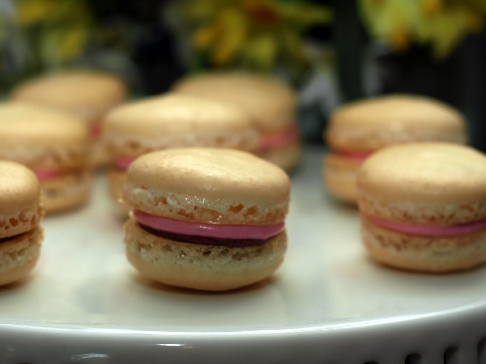 fat bottom: napoleon macarons :)