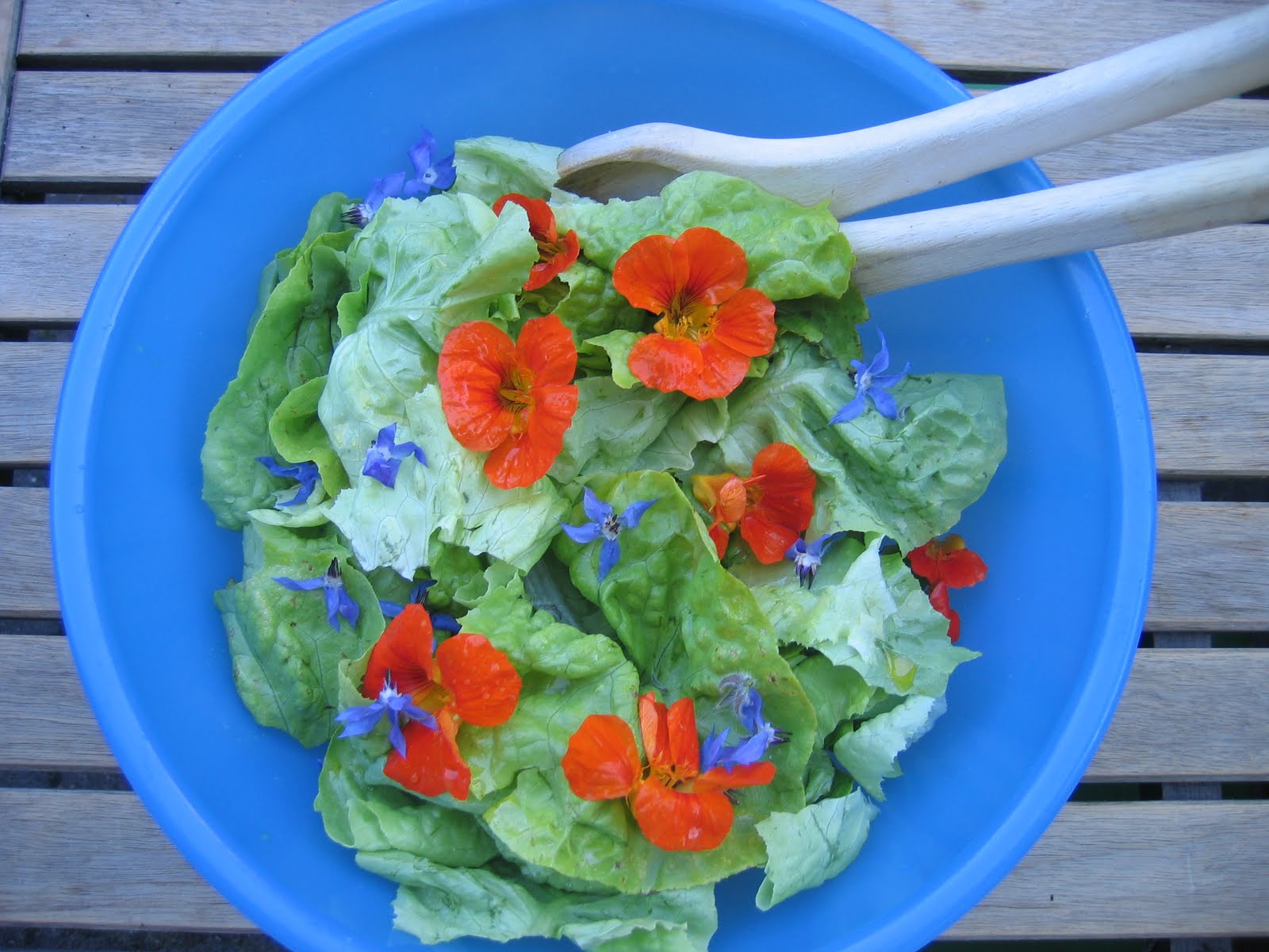 GUOD: Bloemen op om te eten