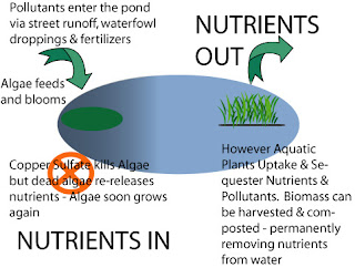 Florida Floating Wetlands - Managed Aquatic Plant Systems: Nutrients In ...