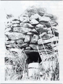 SilentOwl: Sweat Houses in Ireland.