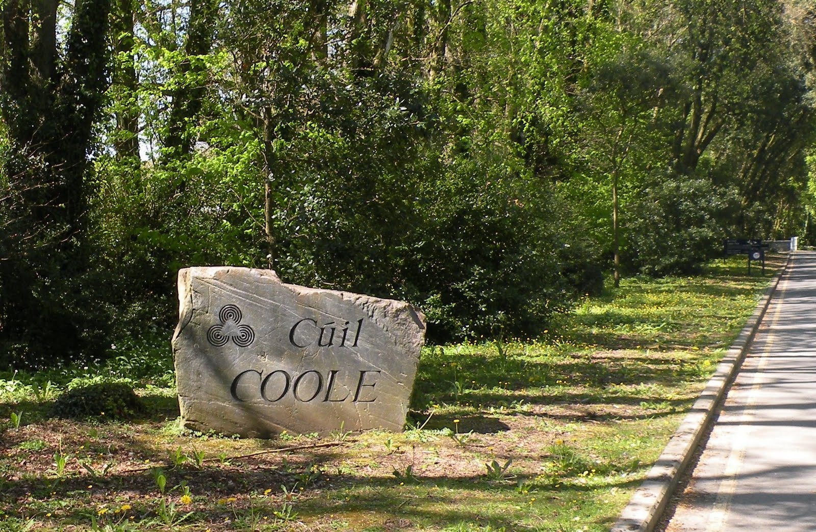 Our Year in Ireland: May 8 - Coole Park