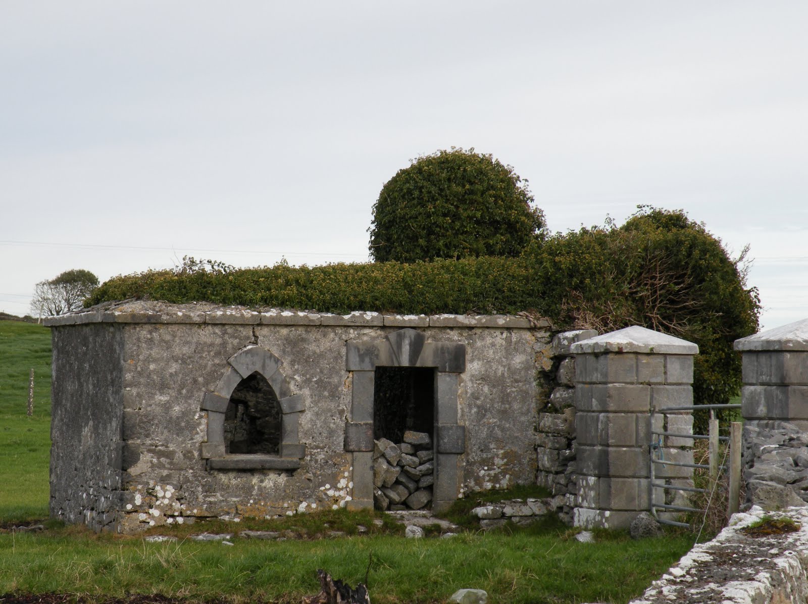 Our Year in Ireland: October 25 - Fairy Fort
