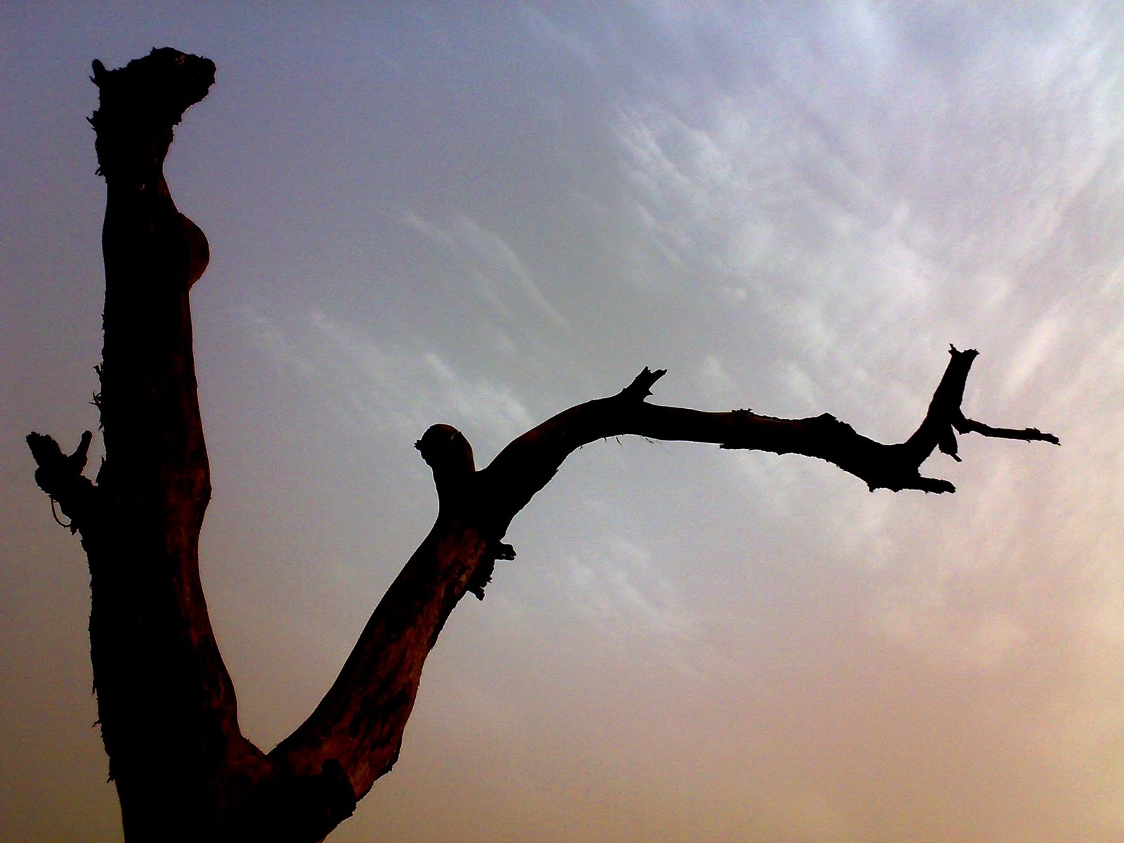 Photoworld: Creative Angles