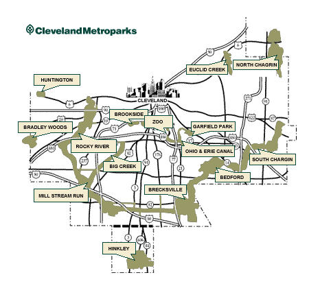 What metro area has the greatest urban forest? (most trees per acre ...