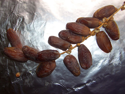 aprendiendo el camino: el datil