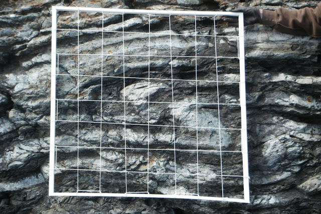 *: GRIDDING DOWN: A wood frame and string grid is used to survey rock ...