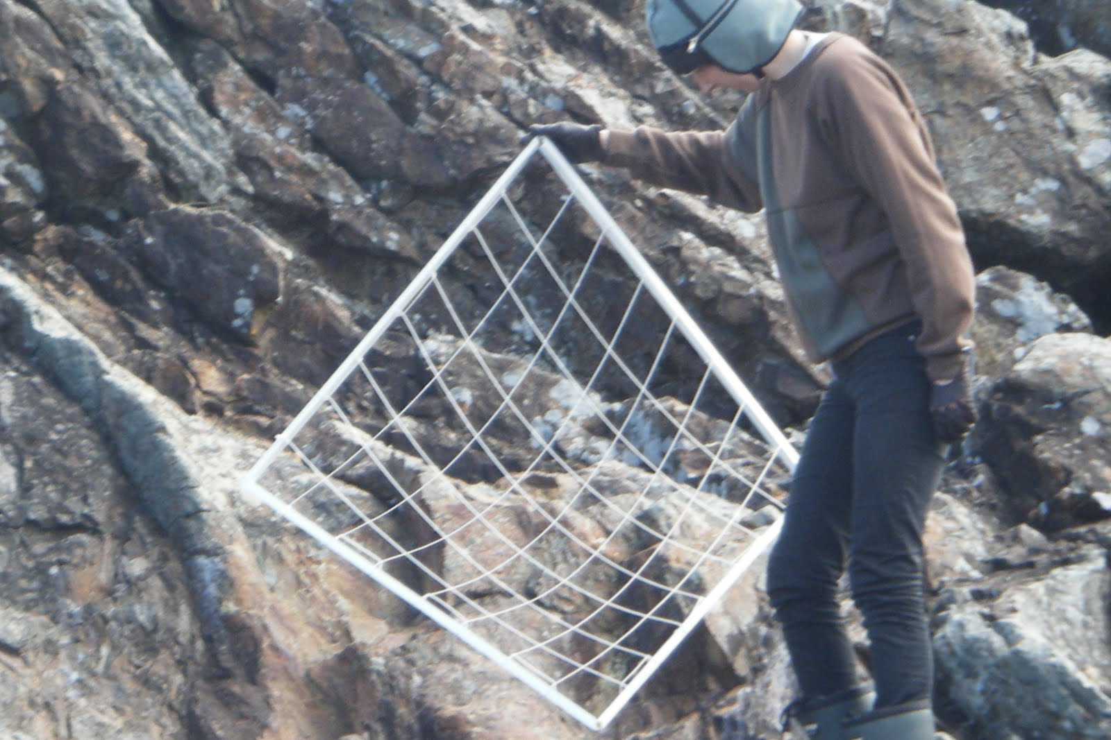 *: GRIDDING DOWN: A wood frame and string grid is used to survey rock ...