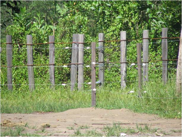 pagar elektrik: CONTOH PAGAR LADANG