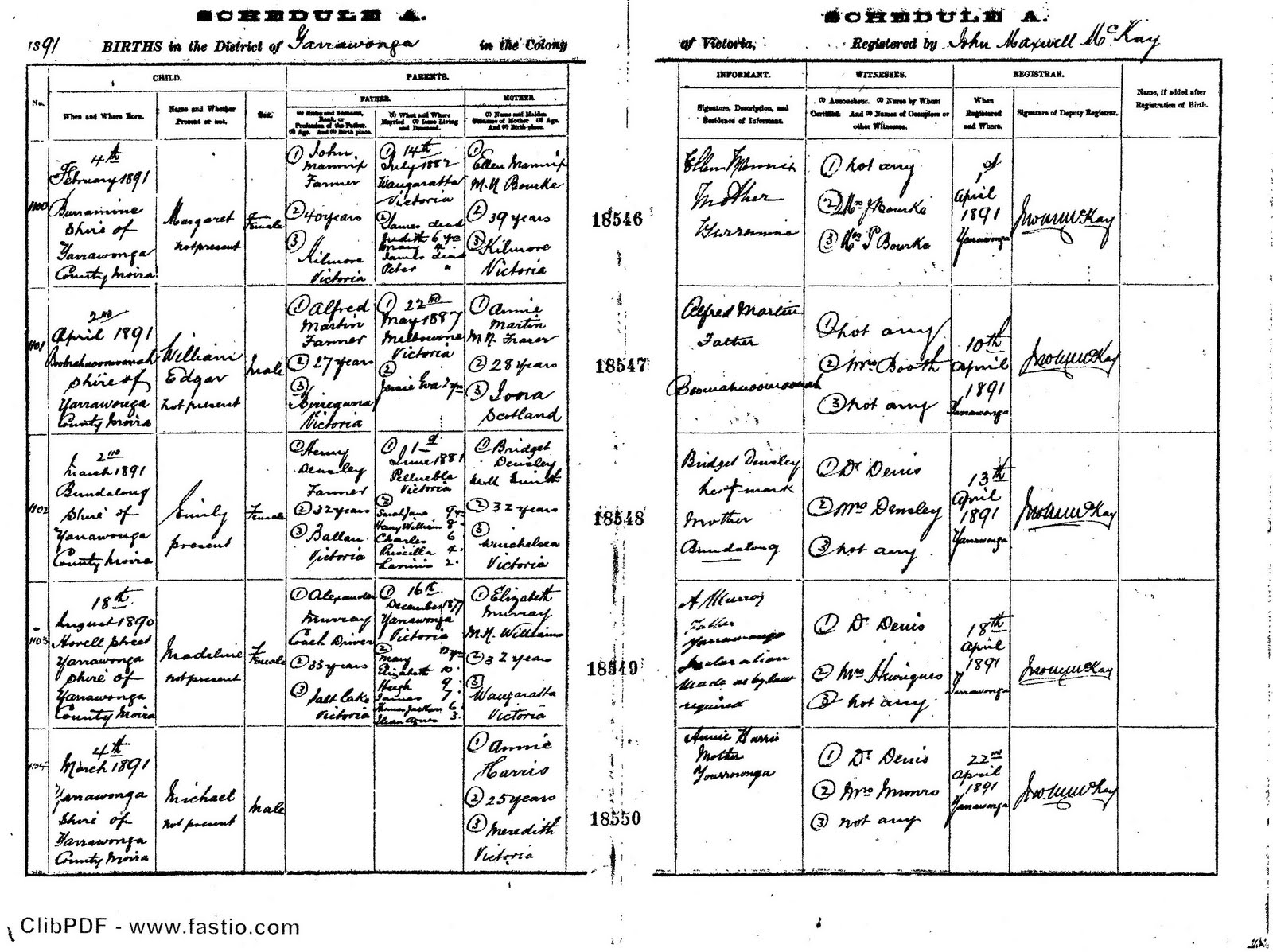 The Bourkes of Burramine and Boosey: Children of Michael Meehan and ...