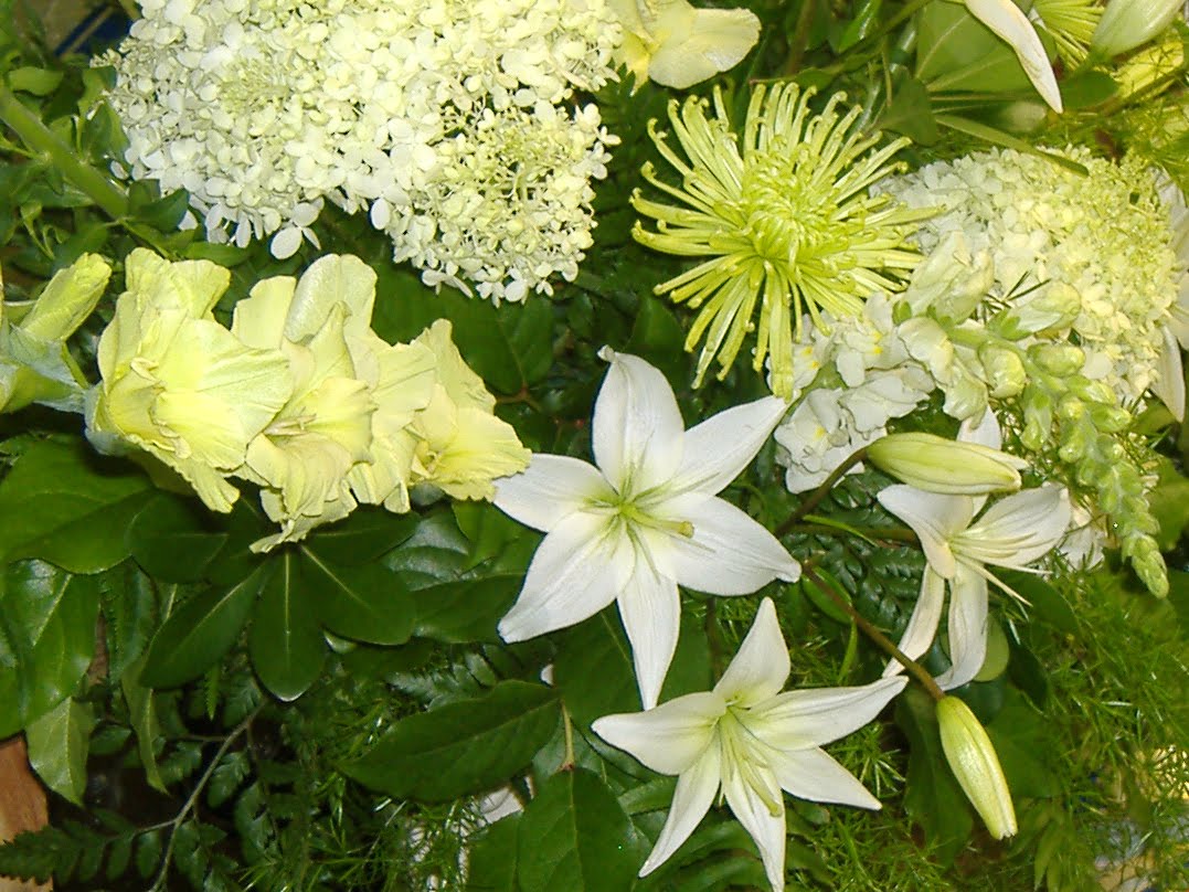 Jack Jones Flowers & Gifts