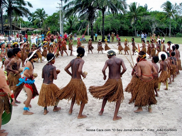 biomas do cerrado: principais tribos indigenas