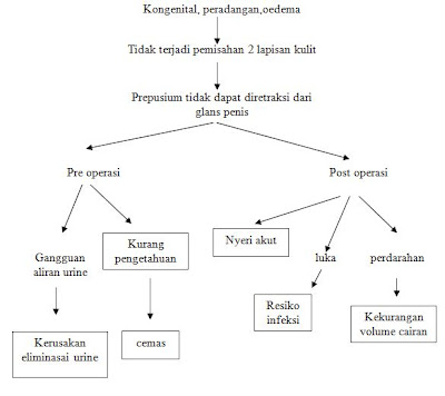 WELCOME TO BLOG ISRAM TALIB: ASKEP ANAK DENGAN FIMOSIS