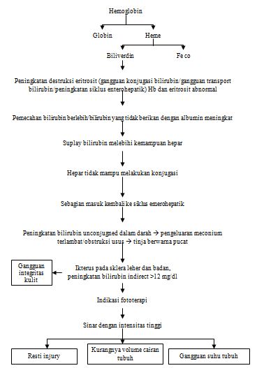 WILSON: ASKEP PADA BAYI HIPERBILIRUBIN