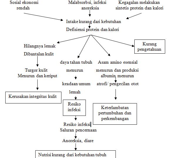 Askep Batu Saluran Kemih Pdf - animanager